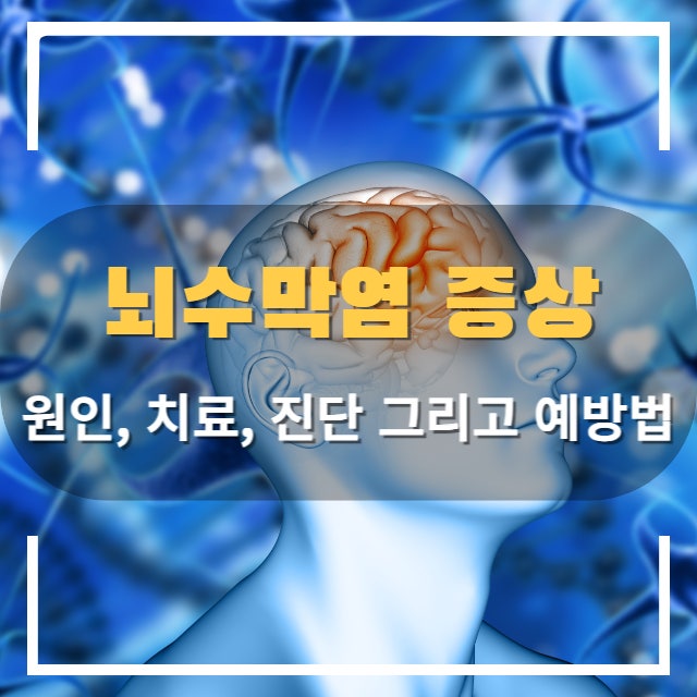 뇌수막염 증상과 원인 치료 진단 그리고 예방법 네이버 블로그