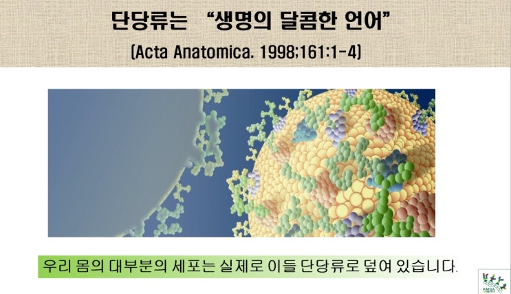당생물학 자연치유력 회복 원리 세포 건강 조직 건강 계통 건강 인체 건강 네이버 블로그