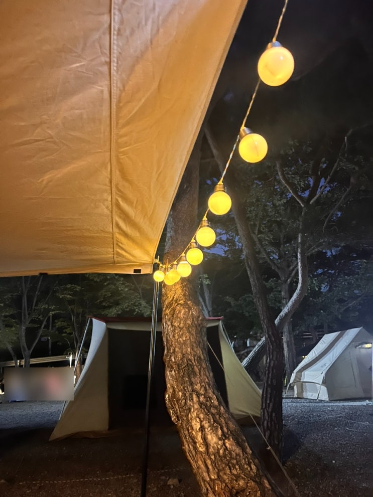 대포숲캠핑장 가성비 좋은 경남 계곡캠핑장이에요 : 네이버 블로그