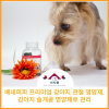 『베네퍼피』프리미엄 강아지 관절 영양제 강아지 슬개골 영양제로 관리 네이버 블로그