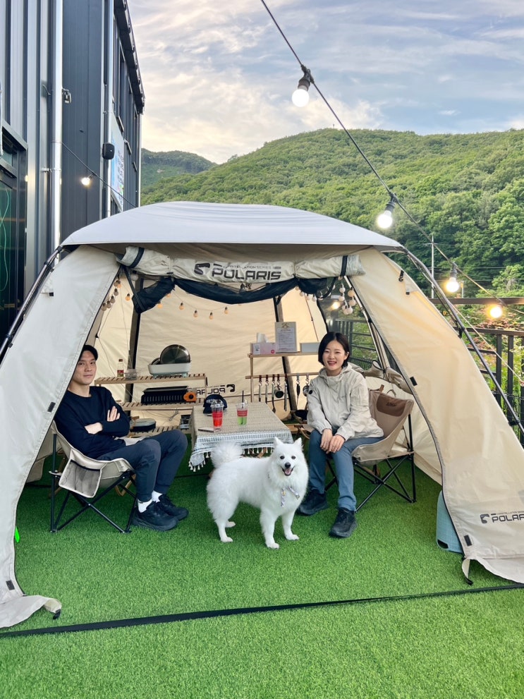 경기도 광주 애견동반 글램핑 애견카페 몽실이네 네이버 블로그