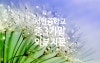 서현중학교 중3 기말고사 시험 외부지문1 How To Learn From Mistakes실수로부터 배우는 방법