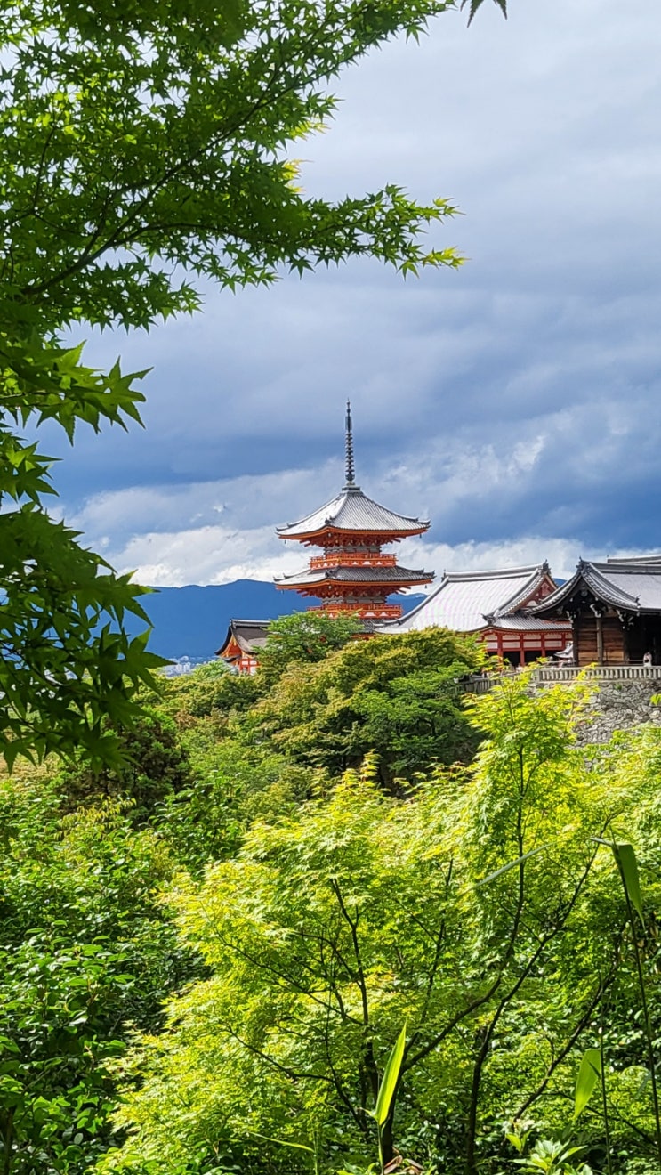 [일본 교토] 교토 당일치기 버스투어 여행한그릇(Kkday) : 네이버 블로그