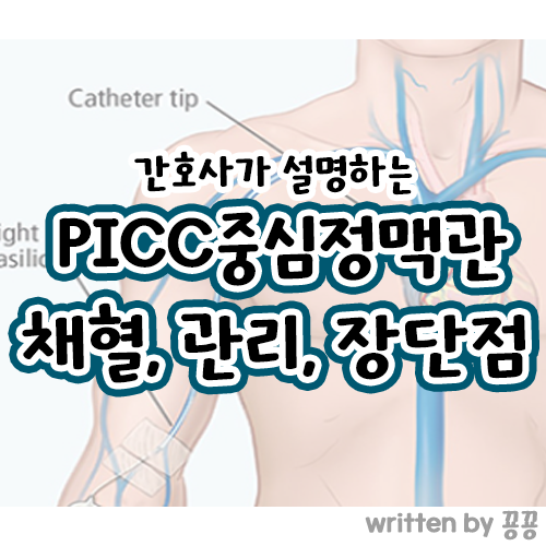 picc :: 간호, 채혈, 드레싱, 장단점 : 네이버 블로그