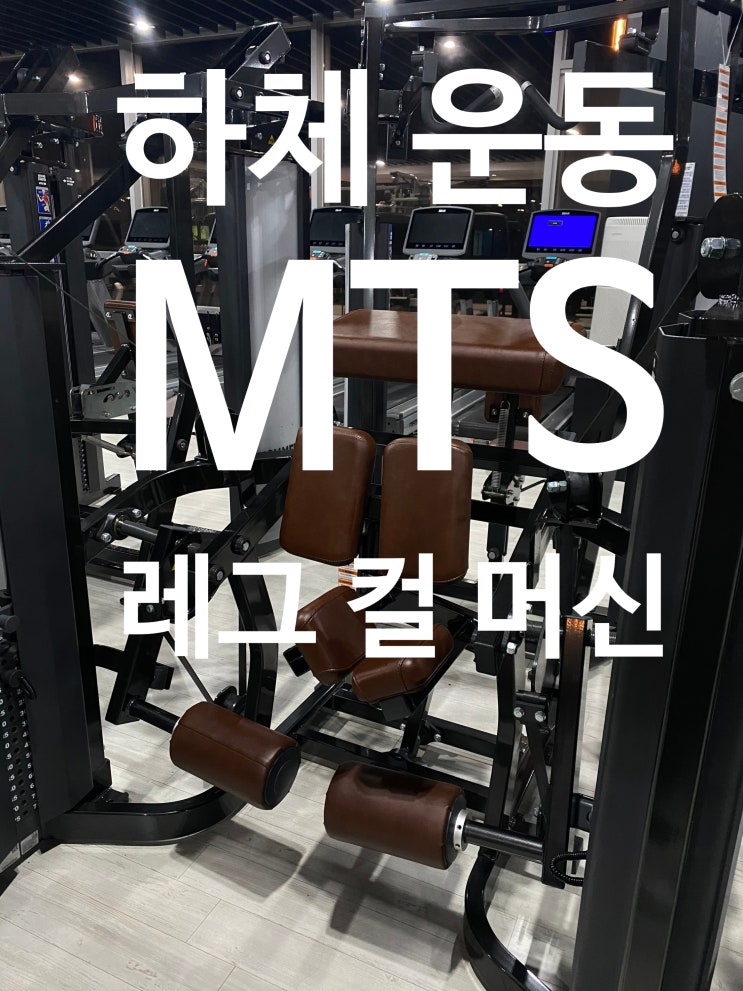 마곡 헬스장 에이블짐 마곡나루점 벨라 트레이너의 하체 운동 Mts 레그 컬 네이버 블로그