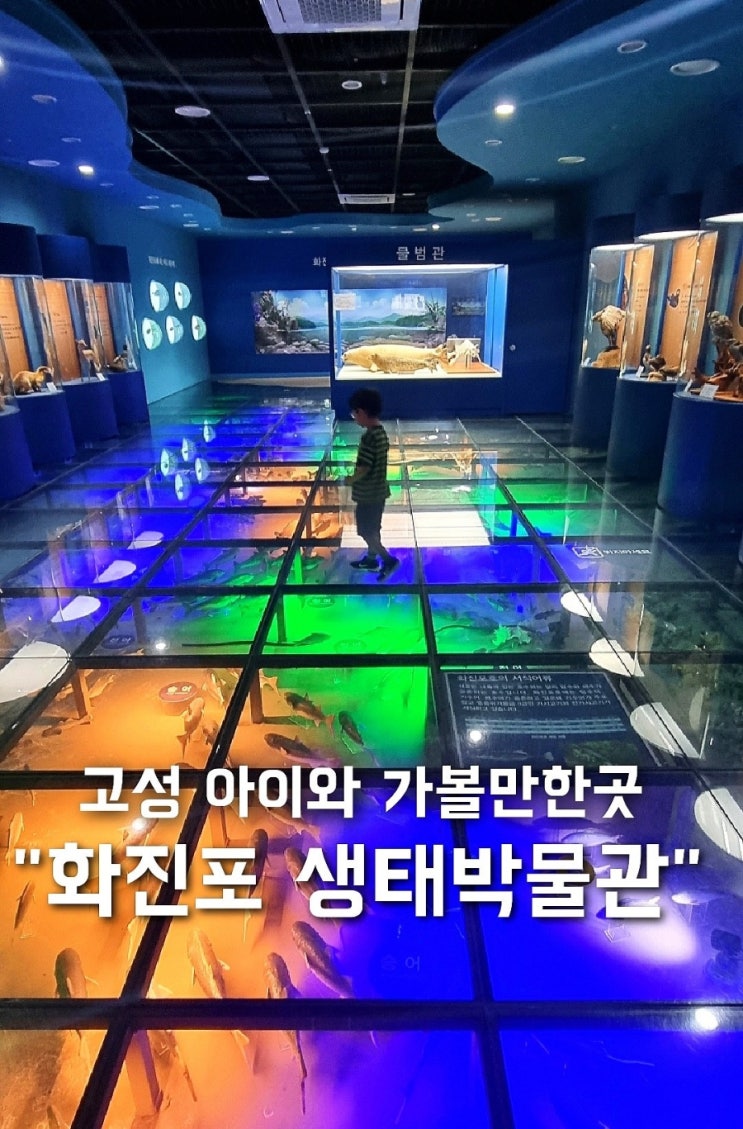 화진포 생태박물관 강원도 고성 아이와가볼만한곳고성여행 구경하기 좋은 실내박물관김일성별장화진포해수욕장 네이버 블로그