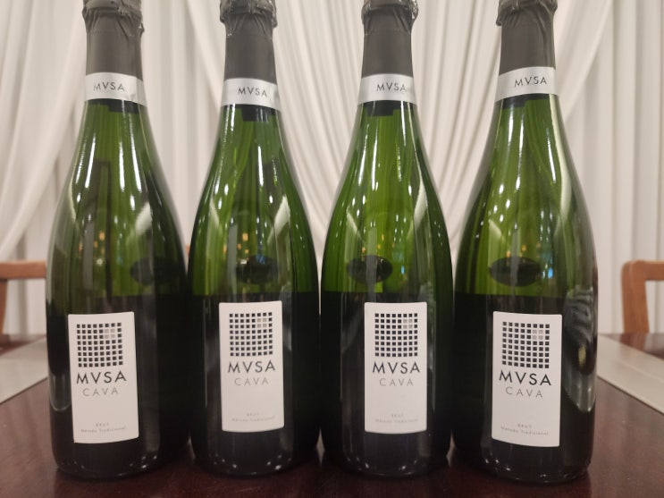 [광주와인] MVSA Cava Brut 무사 까바 브뤼 : 네이버 블로그