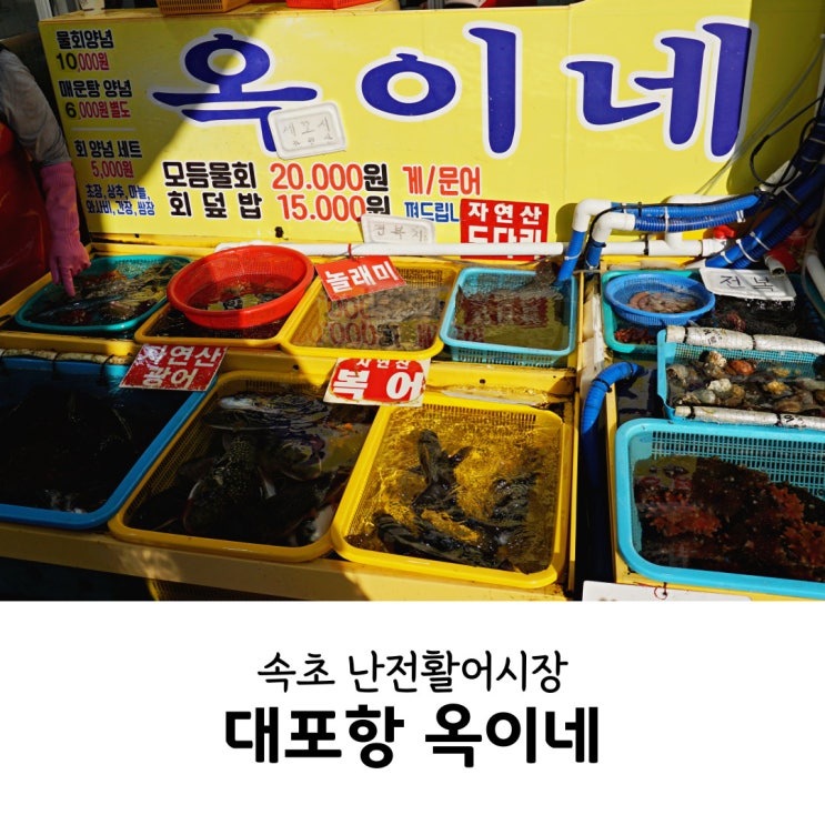 속초 대포항 맛집 난전활어시장 회 센터 옥이네 횟집 튀김 골목 주차정보 네이버 블로그