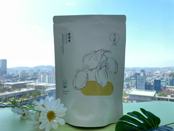모과효능 임산부 모과차 부작용 체크 네이버 블로그