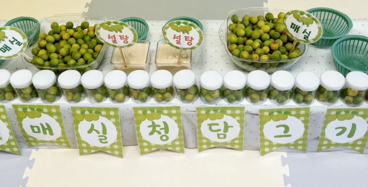 어린이집 행사 요리활동 매실청 담그기 : 네이버 블로그