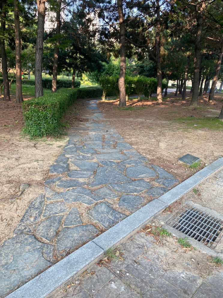 🈵[359]💎[다이아몬드빛] 🅾️빛나는 길(Sparkling Path)//[작가]황혜선(Haesun Hwang)🅾️[노래 ...