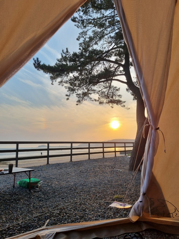 몽산포오토캠핑장 2구역 : 네이버 블로그