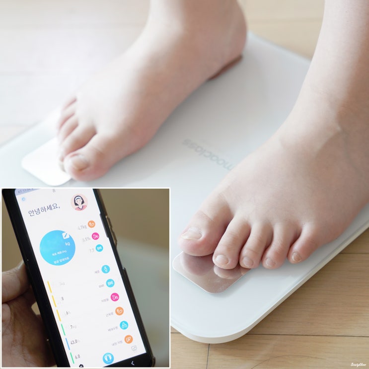 스마트 인바디체중계 모아클래스 Bia 체지방 일주일 다이어트 체크 필수템 네이버 블로그