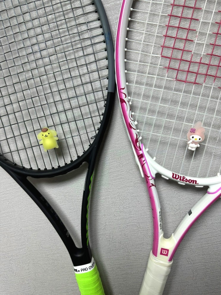 ️EVENT ️ 라블리네 블로그 댓글달고 테니스 댐프너받기🎾 : 네이버 블로그