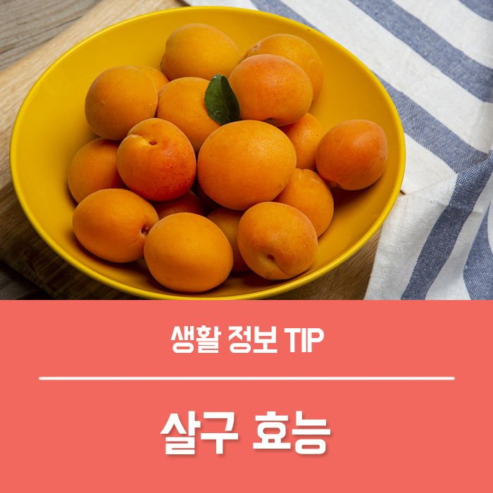 살구 효능 Best5 살구 칼로리 제철 먹는법 부작용 맛있는 살구 고르는법 네이버 블로그