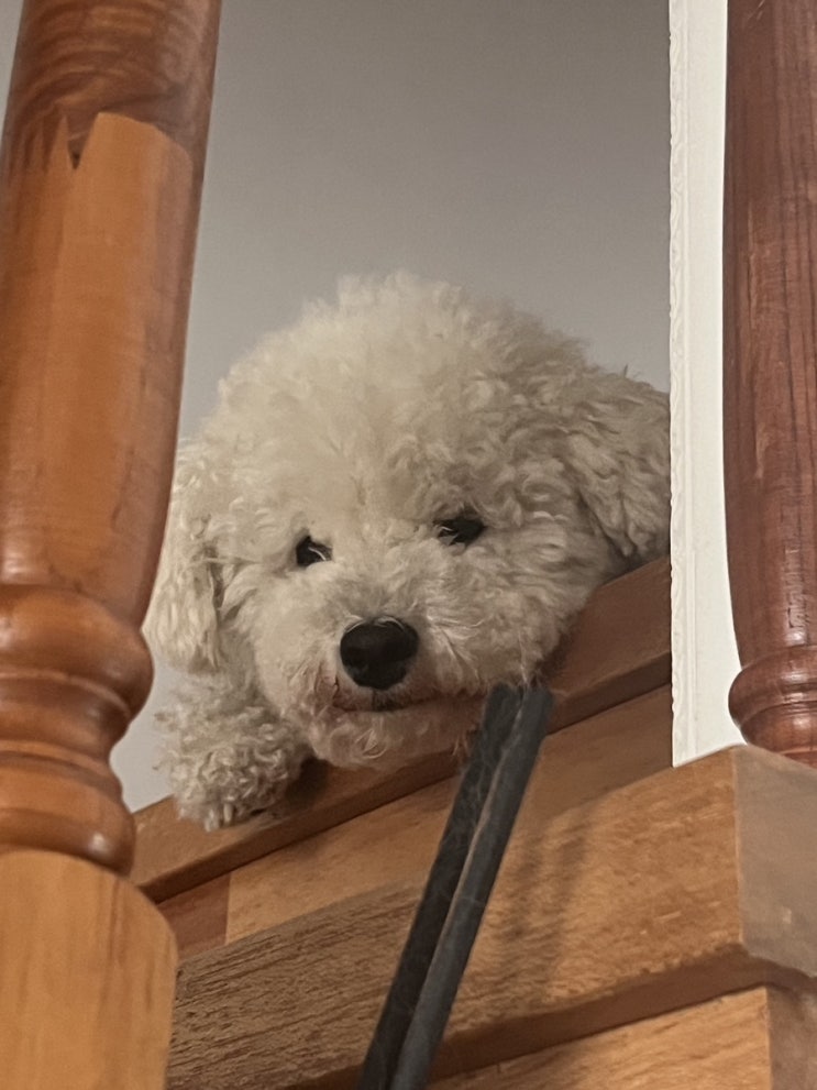 23.06.18 (여유로운 하루) : 네이버 블로그