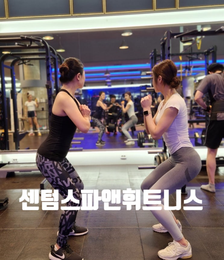 대구 중구동성로 반월당 Pt 전문 대형헬스장 센텀스파앤휘트니스 여자하체운동 스쿼트 런지 힙쓰러스트 플랭크운동 네이버 블로그