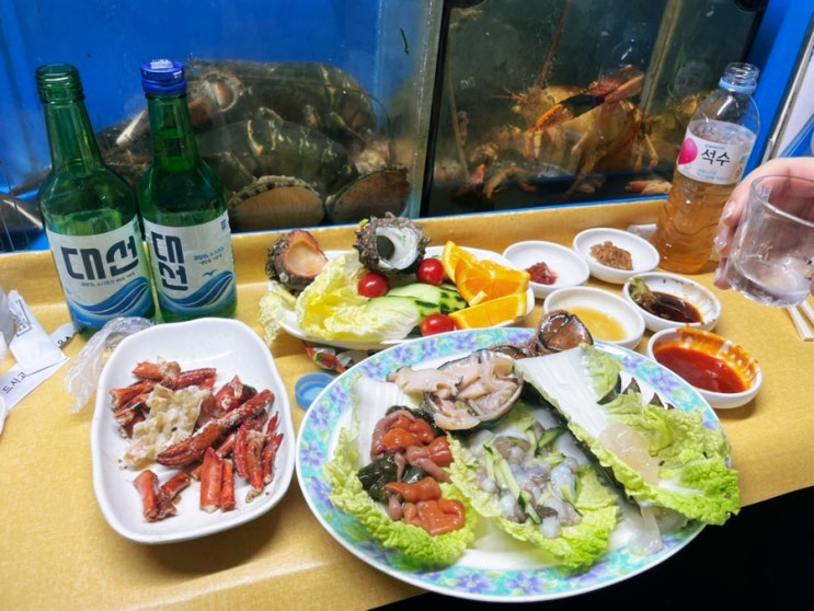 해운대 술집추천 포장마차촌 랍스타 코스요리 갈매기19호 여수이모네 내돈내산 네이버 블로그