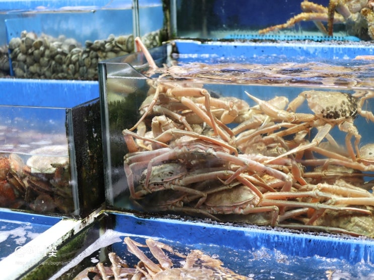 구리 수산물시장 구리 충무수산 위치 및 회 포장 후기 네이버 블로그