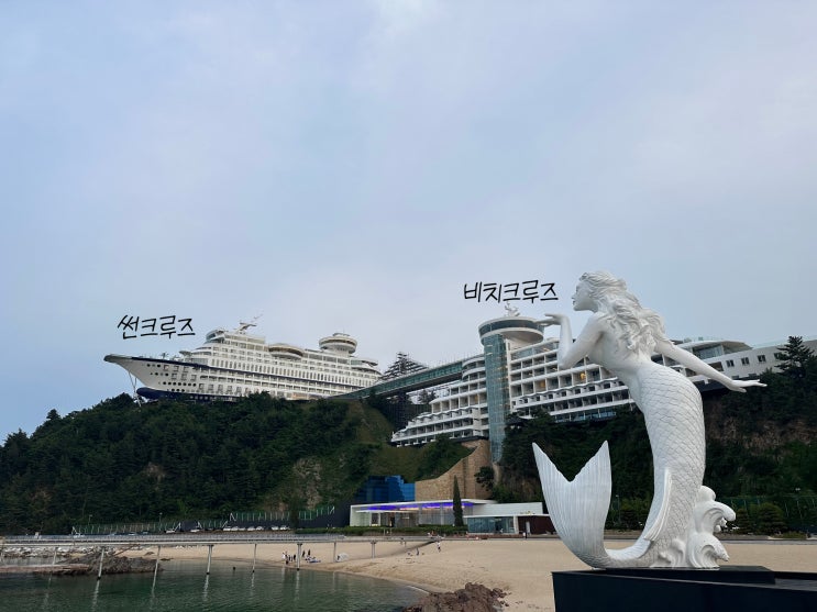 23617 정동진 썬크루즈호텔 럭셔리 더블 일출 하프오션뷰 객실 숙박 후기일출조식천국의계단레일바이크 네이버 블로그