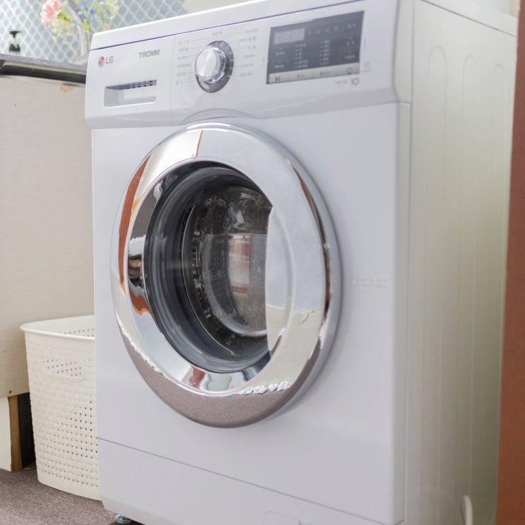 LG전자 트롬 드럼세탁기 9kg F9WP 내돈내산 후기 : 네이버 블로그