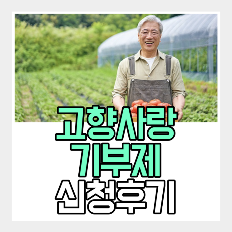 고향사랑기부제 답례품 신청 후기 Ft 세액공제 10만원 네이버 블로그