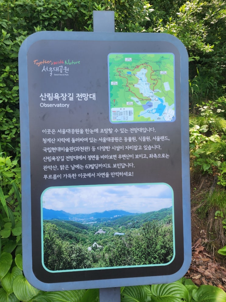 과천 대공원 산림욕장 둘레길 걷기 수리산 산행하기 1주일 걷기 네이버 블로그
