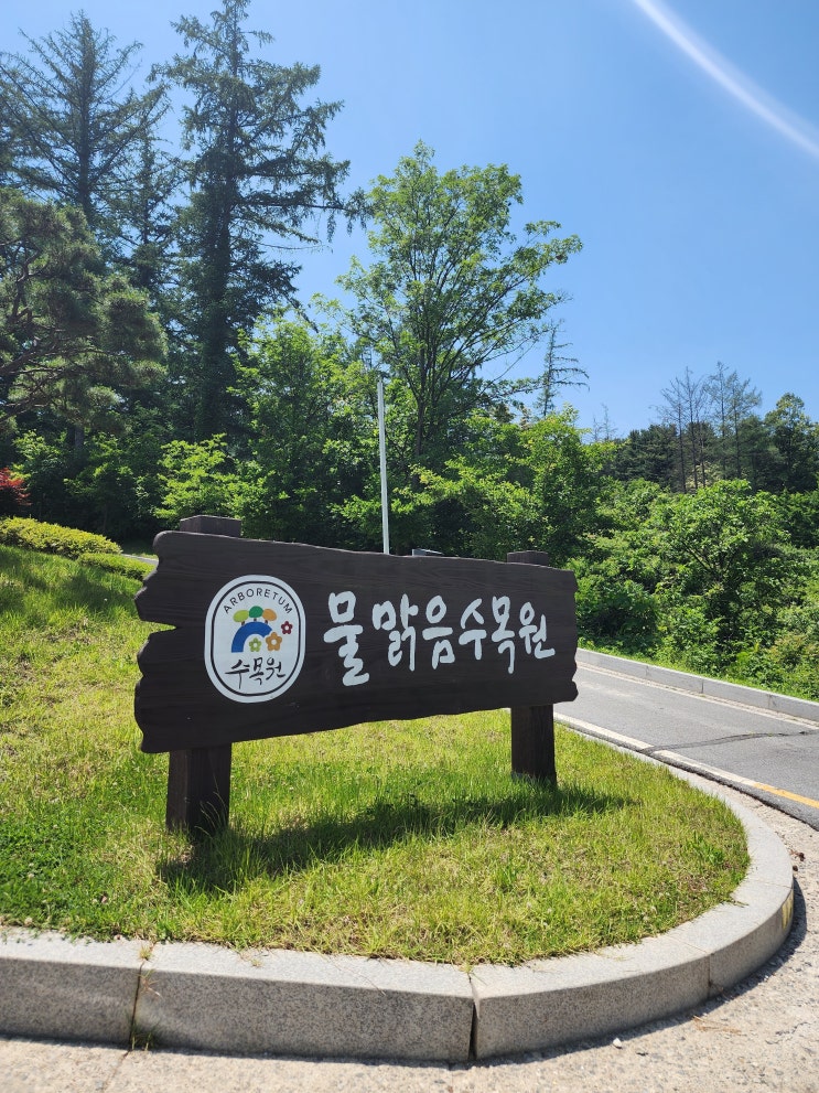 국내여행 남양주 산책과 소풍 가기 좋은 곳~ 수동 물맑음수목원 네이버 블로그