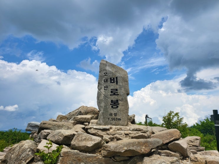 오대산 비로봉 등산코스 최단코스 높이 중대사자암 적멸보궁 주차장 소요시간 입산시간 다람쥐 네이버 블로그