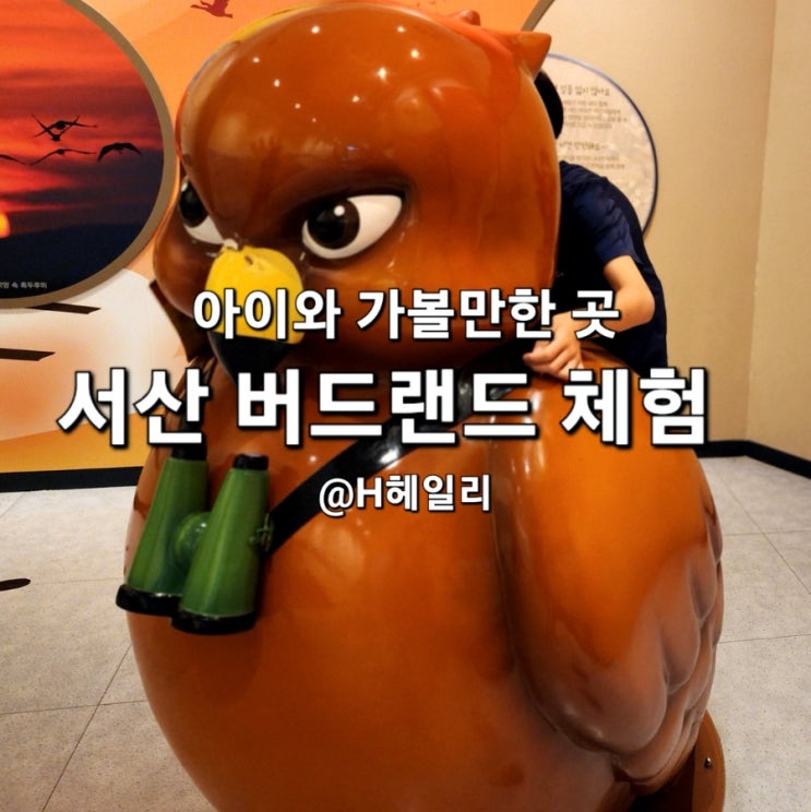 서산 버드랜드 체험 입장료 아이와 가볼만한 곳 스탬프 투어 네이버 블로그