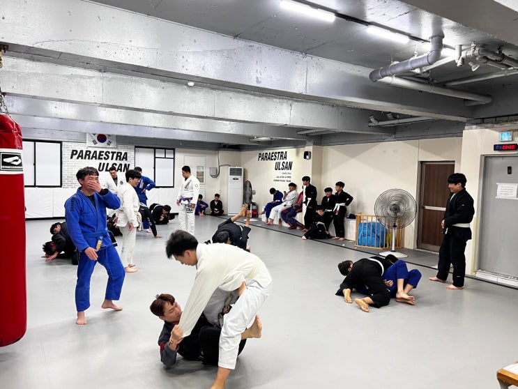 울산주짓수 파라에스트라울산주짓수는 올바른 주짓수운동을 지향합니다 네이버 블로그