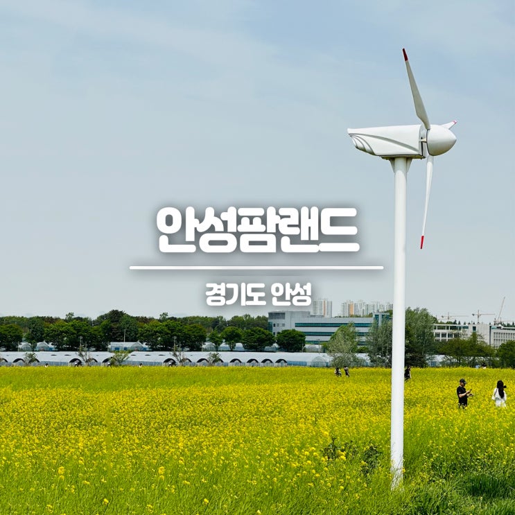 안성팜랜드 주말여행 입장료 & 4월 유채꽃밭 포토존 안성 가볼만한곳 : 네이버 블로그