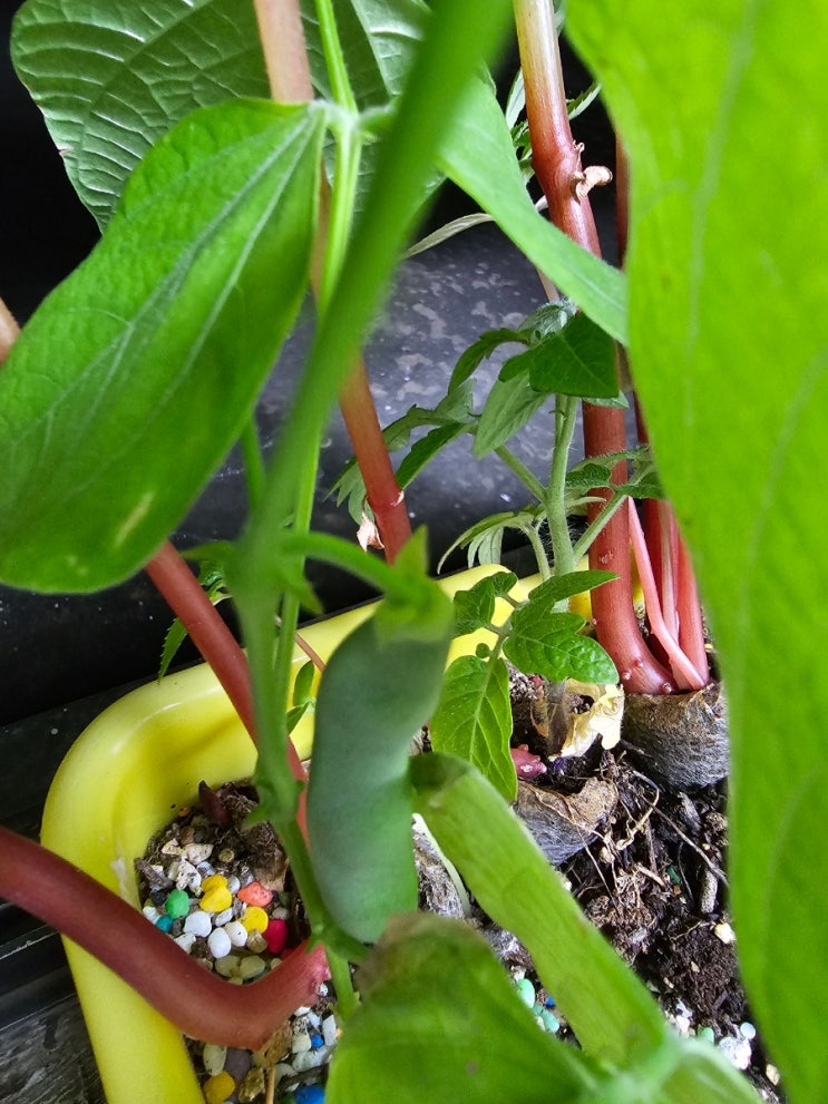 인간은 언제 행복할까요? : 네이버 블로그