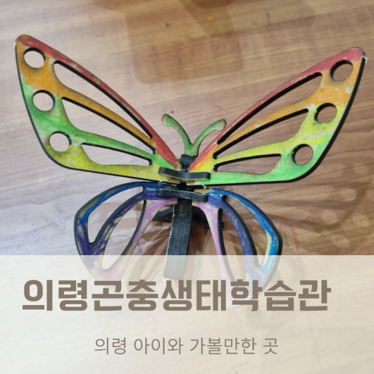 의령곤충생태학습관 의령 아이랑 가볼만한 곳곤충 체험하기 네이버 블로그