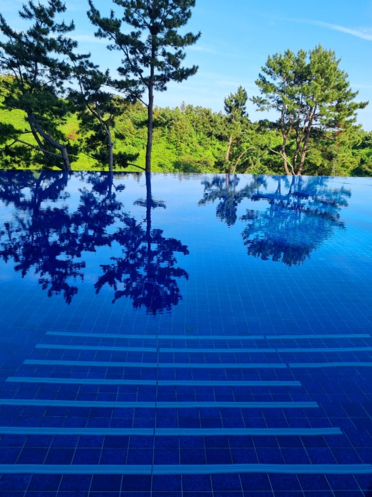 제주 히든클리프 호텔 앤 네이쳐 히든클리프호텔 수영장 히든클리프 풀문 나이트 네이버 블로그