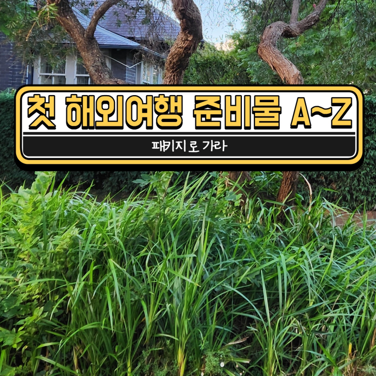 첫 해외여행 준비물 A~z 혼자 여행 동남아 유럽일 때 구분하자 네이버 블로그