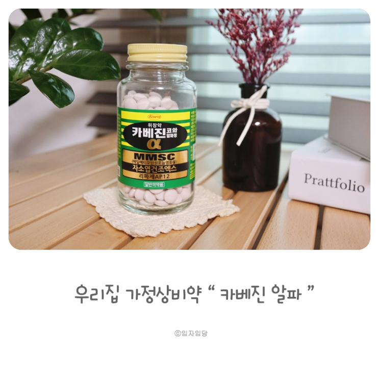 소화불량 속쓰림 소화안될때 약국위장약 카베진알파 가정상비약으로 준비 가격도 알아봐요 네이버 블로그