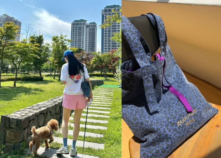 3만원대 류이서 여자 연예인 에코백 브랜드 추천 사복 정리 네이버 블로그