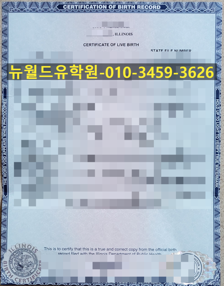 〔미국 출생증명서 번역 일리노이주 출생증명서〕 국내 출생신고용 네이버 블로그
