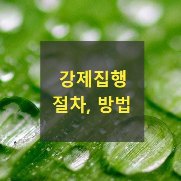 강제집행 절차 방법압류경매추심전부 동산 부동산 채권 주식 압류금지채권 네이버 블로그