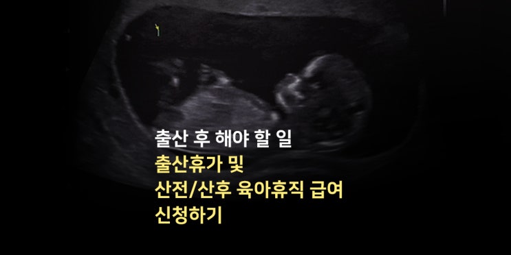 임신 할일 출산 후 해야 할 일 출산휴가 및 산전산후 육아휴직 급여 신청하기 급여 지원 수준 신청 서류 신청 방법