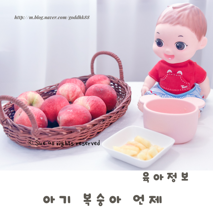 아기 복숭아 언제부터 신비복숭아 과일시기 알아보기 네이버 블로그