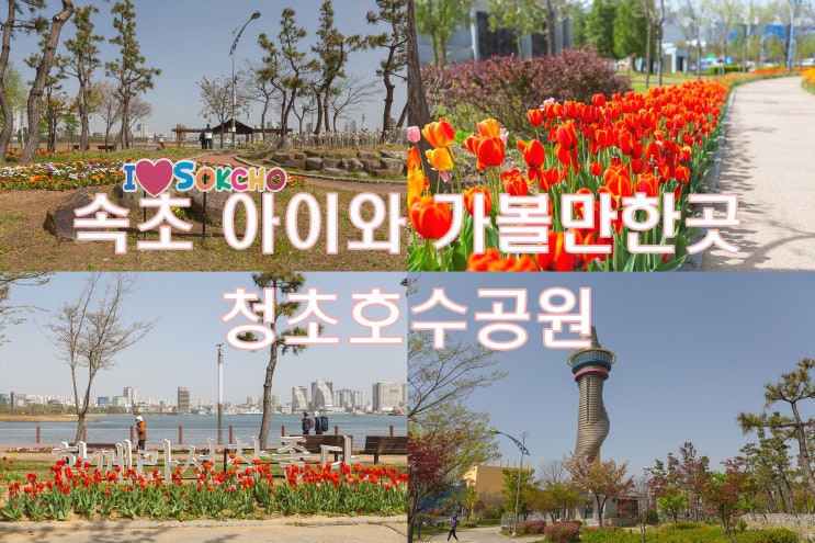속초 아이와 가볼만한곳 청초호 한눈에 청초호수공원 네이버 블로그