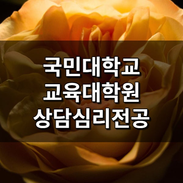 국민대학교 교육대학원 상담심리전공 준비하는 쉬운 방법 네이버 블로그