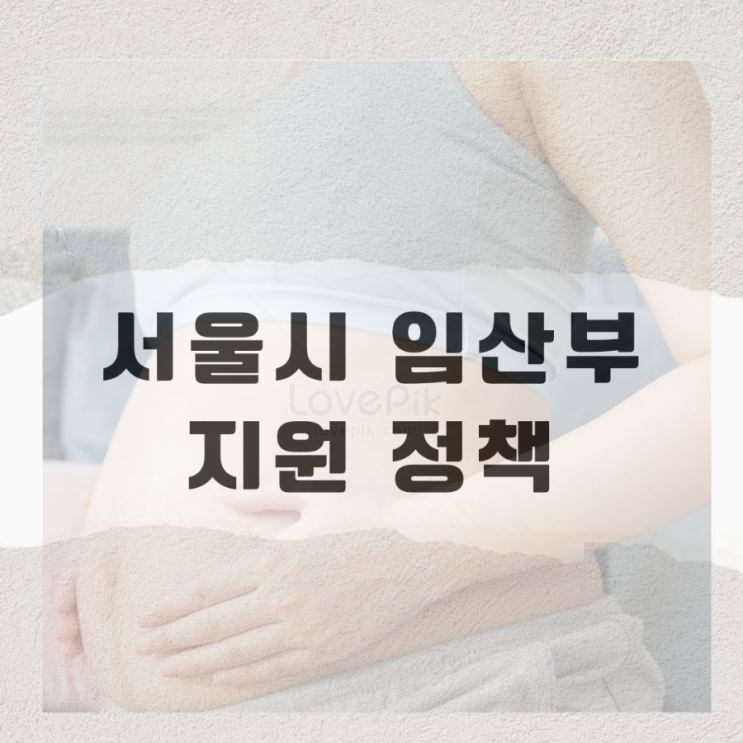 임신 확인 후 꼭 챙겨야 할 지원 내용서울시기준 임산부 지원 사항 요약 서울시 임산부 교통비 지원 자동차 보험 태아