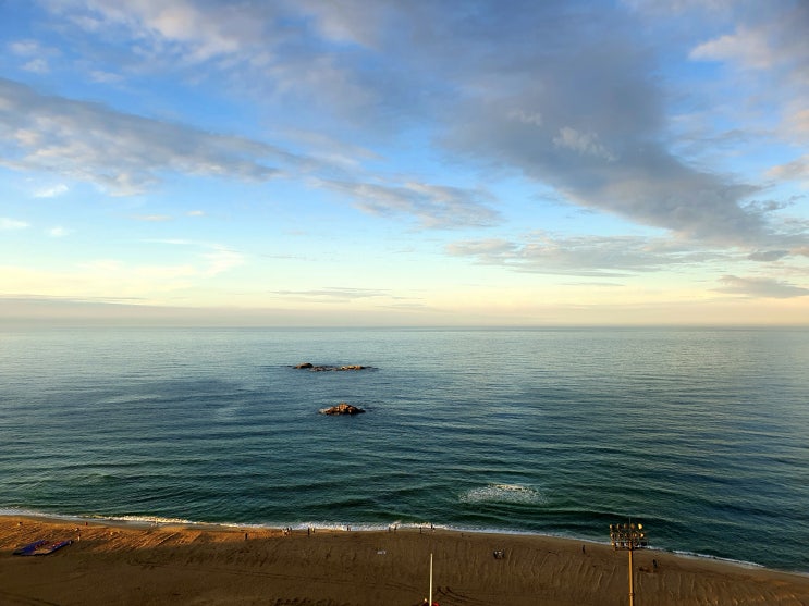 내 장점이 뭔지 알아 바로 솔직한 거야 : 네이버 블로그