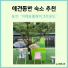 애견동반 숙소 추천 포천 반려견들을 위한 숙소 더히로플레이그라운드 애견수영장 애견운동장 네이버 블로그