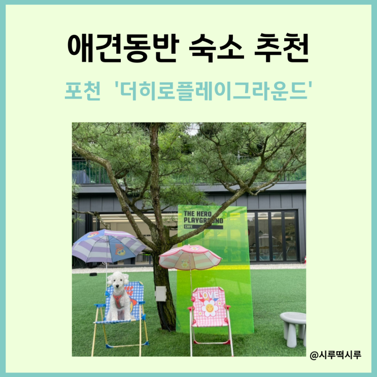 애견동반 숙소 추천 포천 반려견들을 위한 숙소 더히로플레이그라운드 애견수영장 애견운동장 네이버 블로그