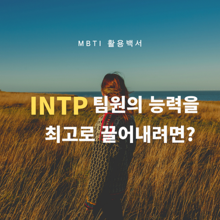 INTP의 최고 능력을 끌어내고 싶다면? : 네이버 블로그