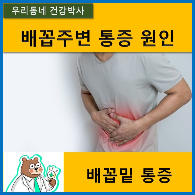 배꼽밑 통증 배꼽주변 통증 아픈 원인은 네이버 블로그